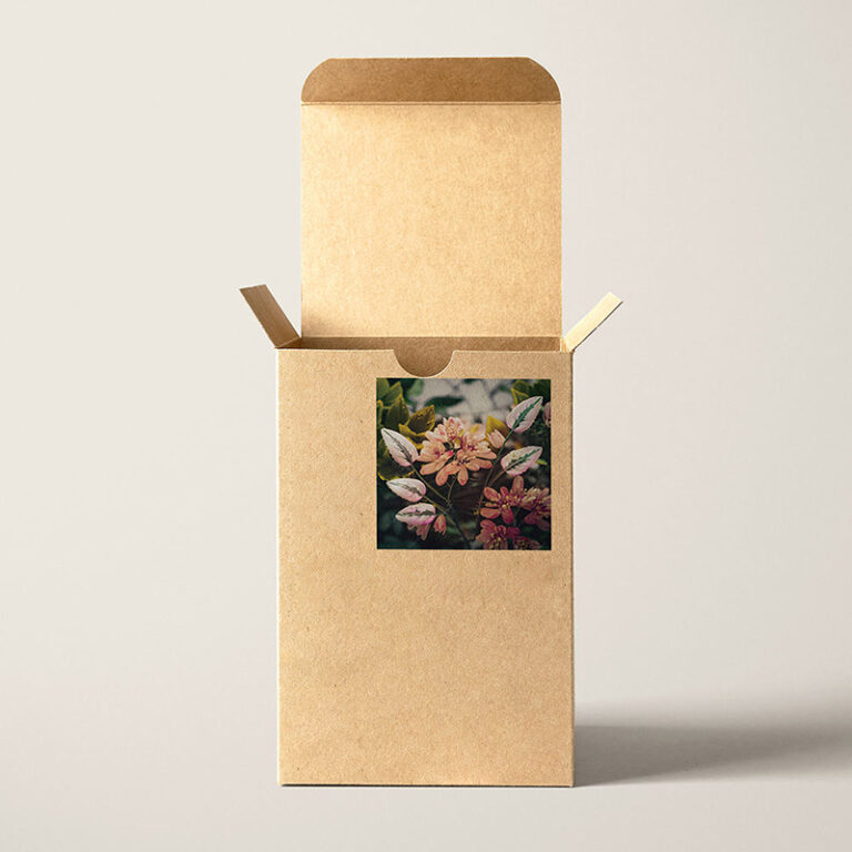 97+ Best Face Wash Packaging Design Ideas 2026